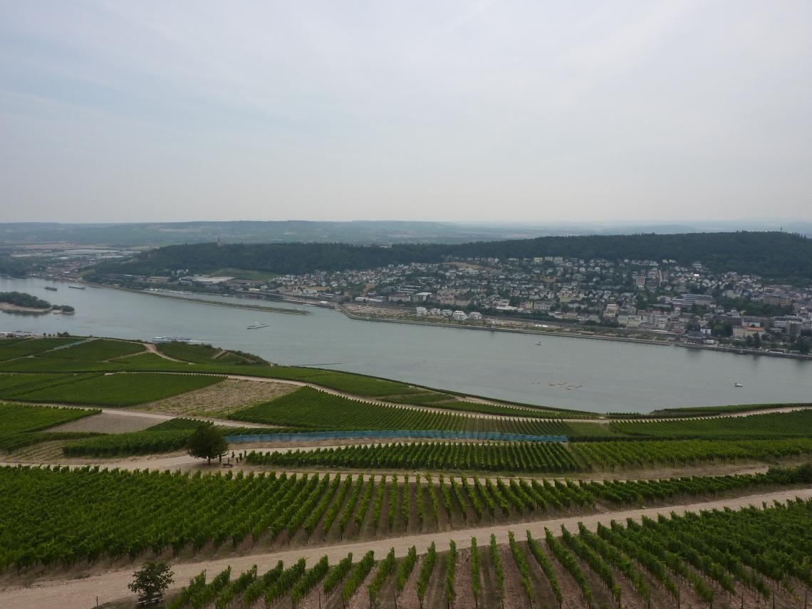Der Landschaftspark Niederwald - Niederwalddenkmal.de :: Alles Rund um ...